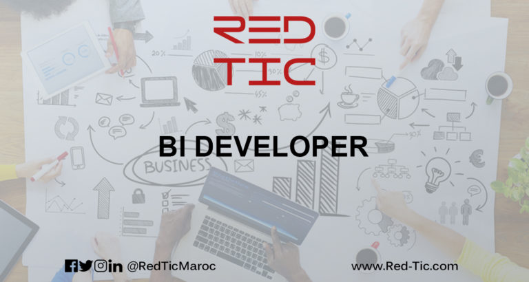 BI DEVELOPER - RED TIC