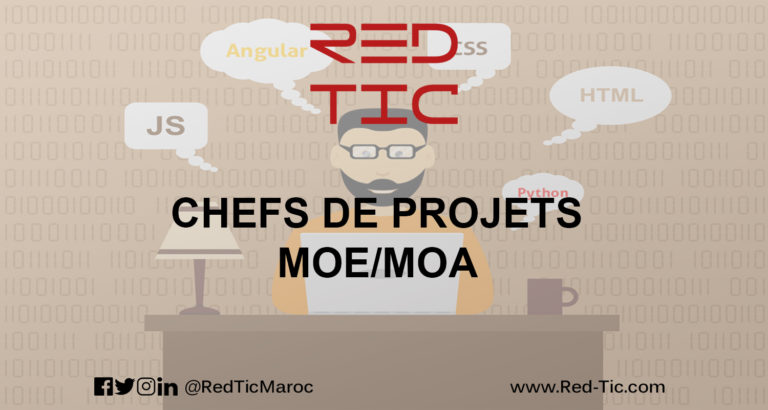 CHEFS DE PROJETS MOE/MOA - RED TIC RED TIC