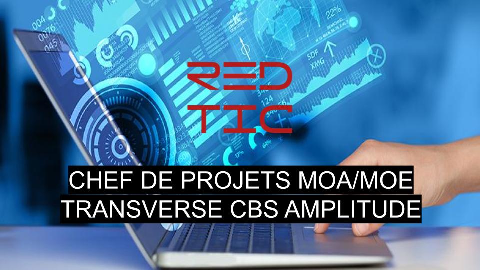CHEF DE PROJETS MOA/MOE TRANSVERSE CBS AMPLITUDE - RED TIC