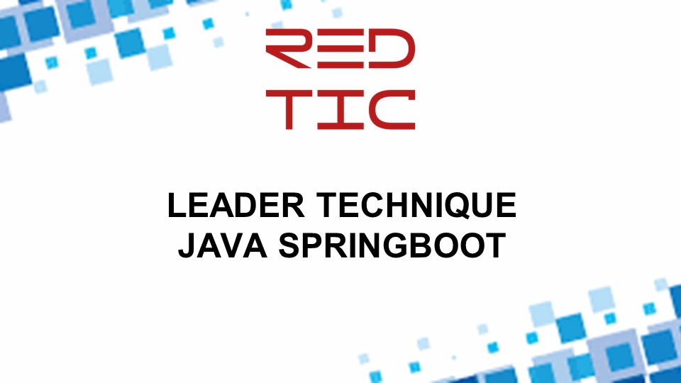 LEADER TECHNIQUE JAVA SPRINGBOOT - RED TIC