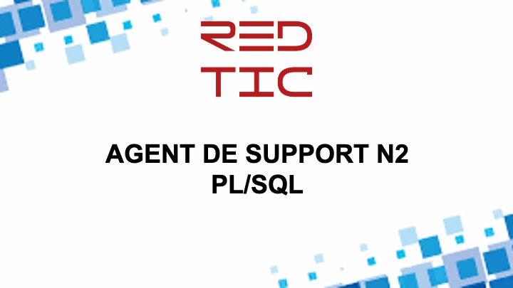 AGENT DE SUPPORT N2 PL/SQL - RED TIC