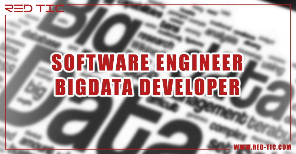 Software Engineer Bigdata Developer Red Tic