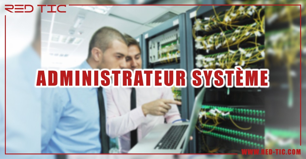 ANALYSTE DÉVELOPPEUR SI - RED TIC