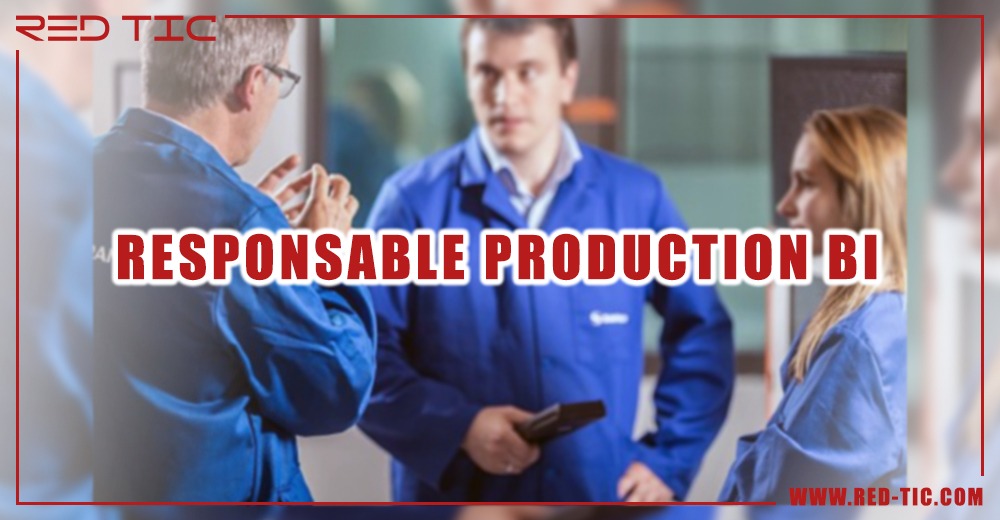 RESPONSABLE PRODUCTION BI - RED TIC