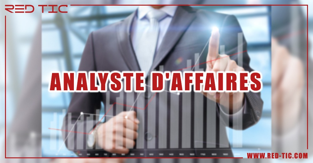 ANALYSTE D'AFFAIRES - RED TIC