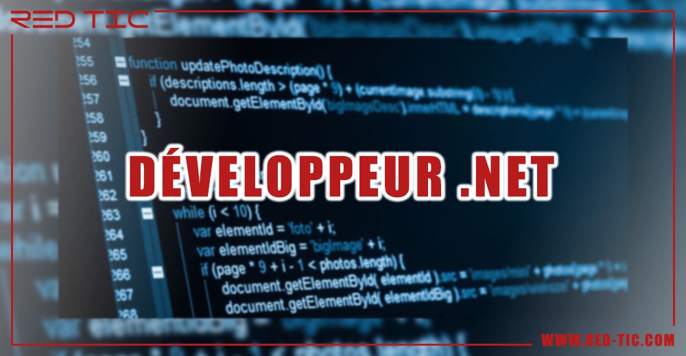 DÉVELOPPEUR .NET - RED TIC