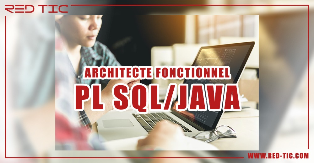 ARCHITECTE FONCTIONNEL PLSQL/JAVA - RED TIC