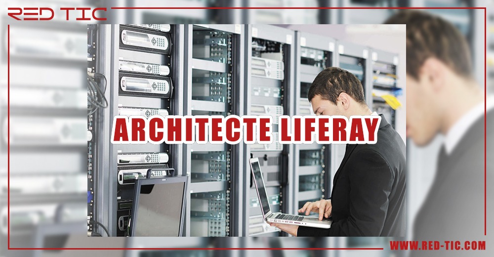 ARCHITECTE LIFERAY - RED TIC