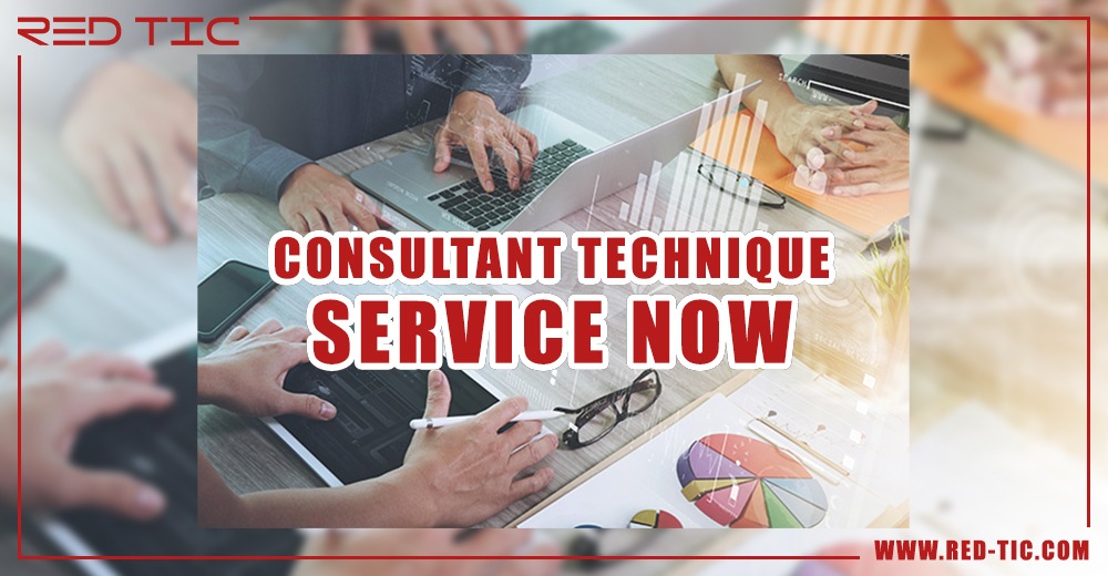 CONSULTANT TECHNIQUE SERVICE NOW - RED TIC