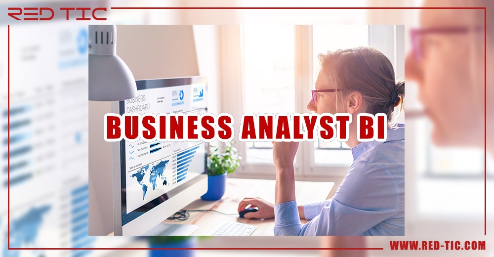 BUSINESS ANALYST BI - RED TIC