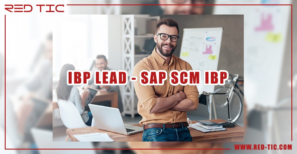IBP LEAD - CONSULTANT SAP SCM IBP - RED TIC