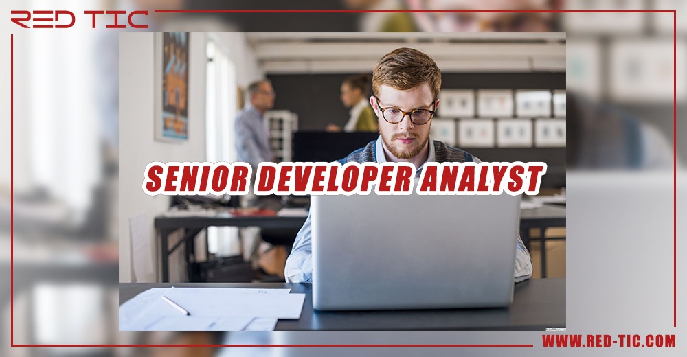 SENIOR DEVELOPER ANALYST - RED TIC