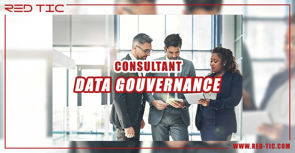 CONSULTANT DATA GOUVERNANCE - RED TIC