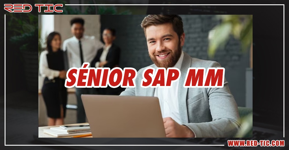 SENIOR SAP MM - RED TIC