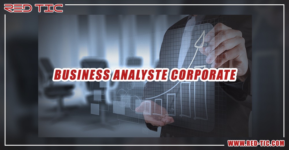 BUSINESS ANALYST CORPO - RED TIC