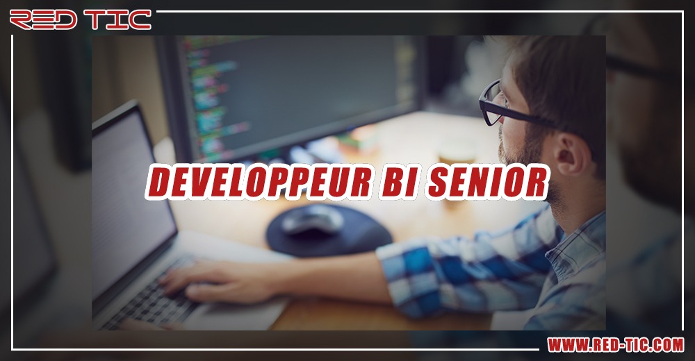 DÉVELOPPEUR BI SENIOR - RED TIC
