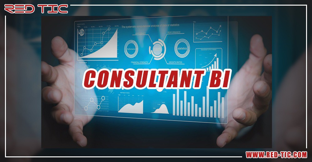 CONSULTANT BI - RED TIC