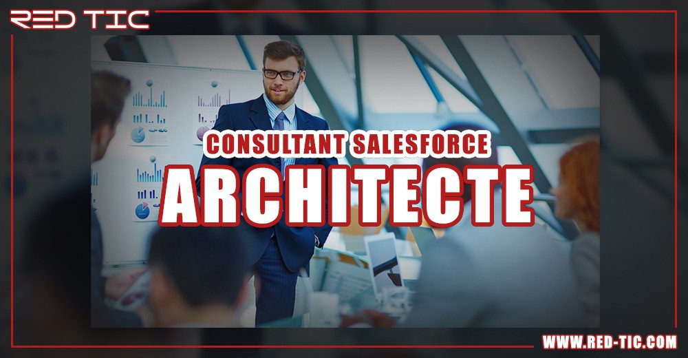 CONSULTANT SALESFORCE /ARCHITECTE - RED TIC