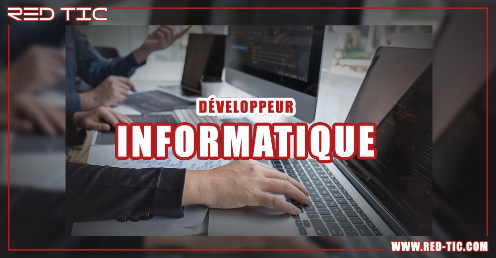DÉVELOPPEUR INFORMATIQUE - RED TIC