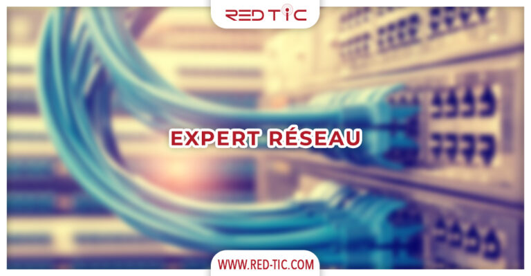 EXPERT RÉSEAU - RED TIC