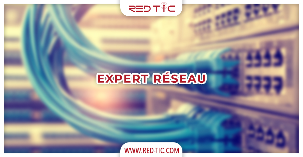 EXPERT RÉSEAU - RED TIC