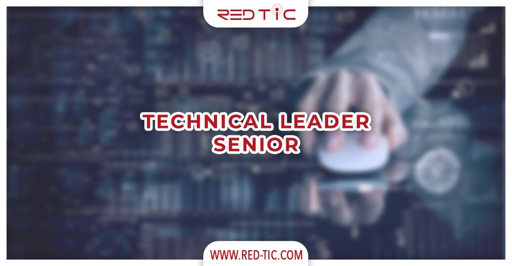 TECHNICAL LEADER SENIOR - RED TIC