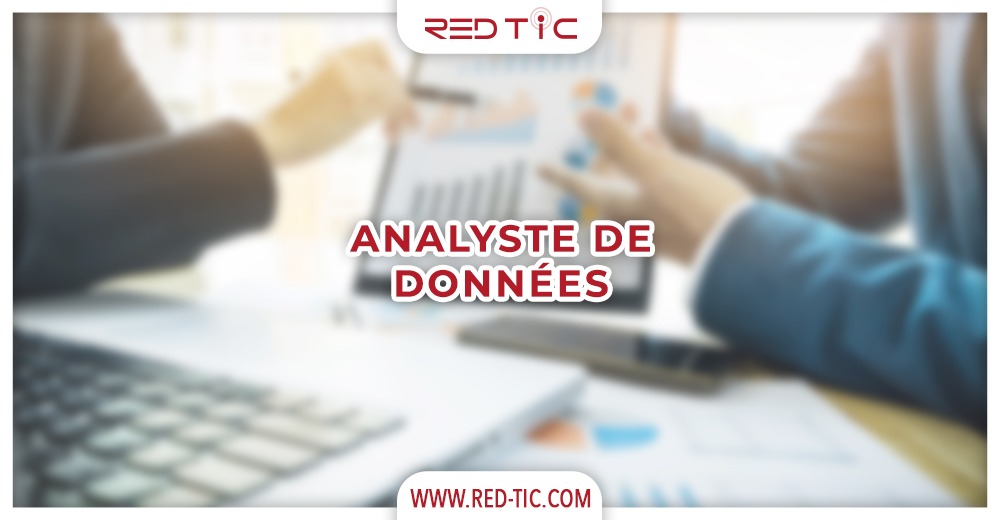 ANALYSTE DE DONNÉES - RED TIC