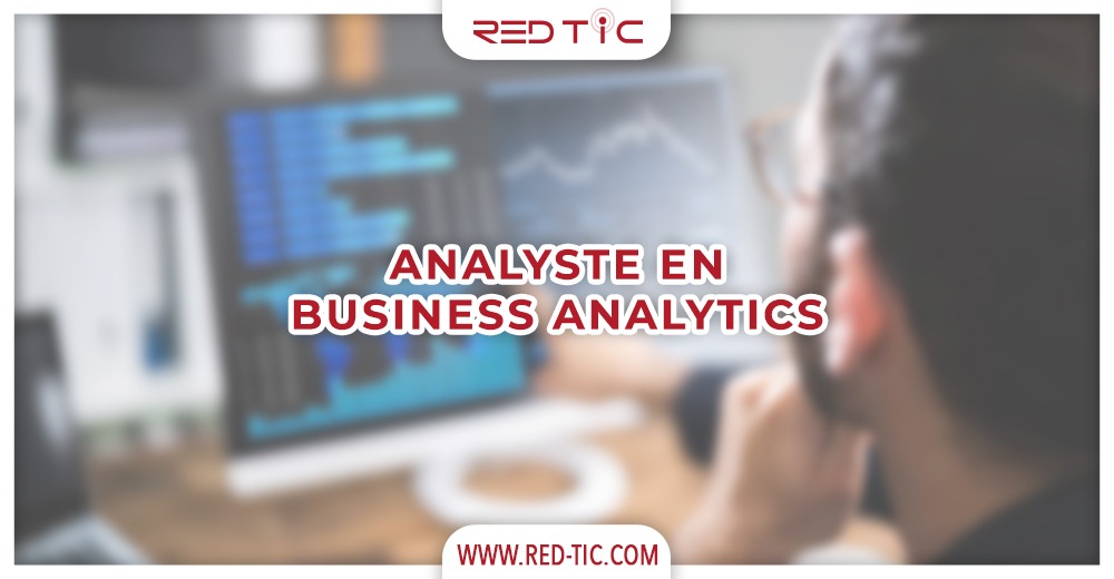 ANALYSTE EN BUSINESS ANALYTICS - RED TIC