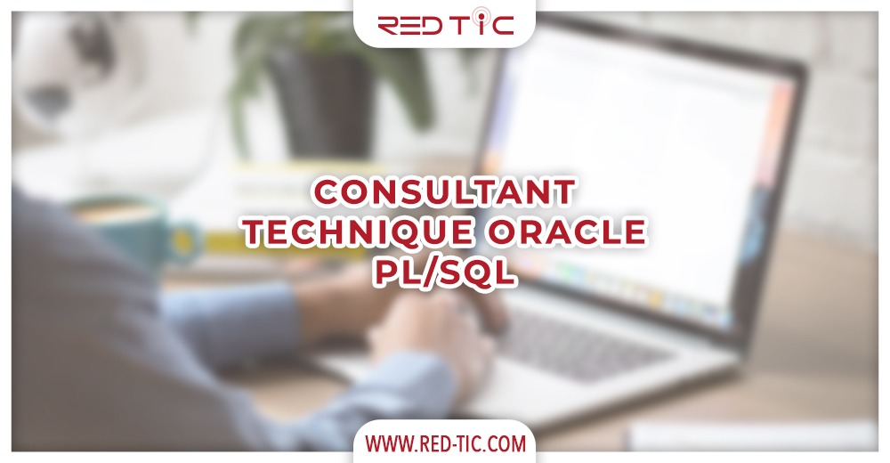CONSULTANT TECHNIQUE ORACLE PL/SQL - RED TIC