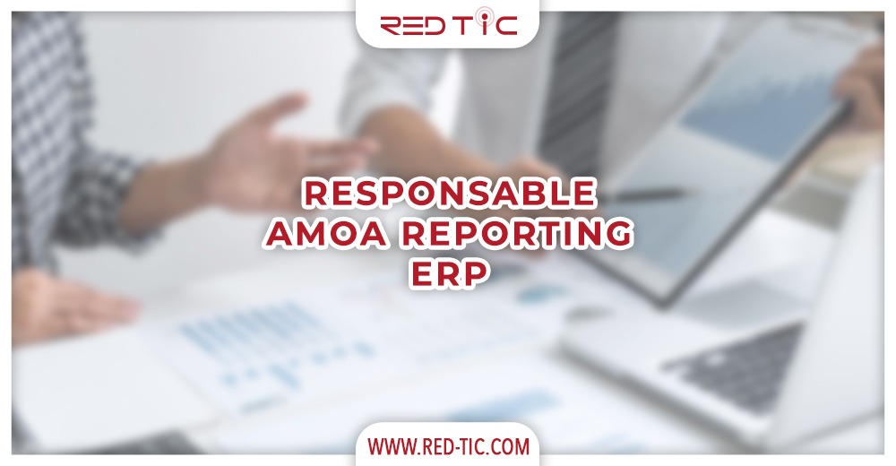 RESPONSABLE AMOA REPORTING ERP - RED TIC