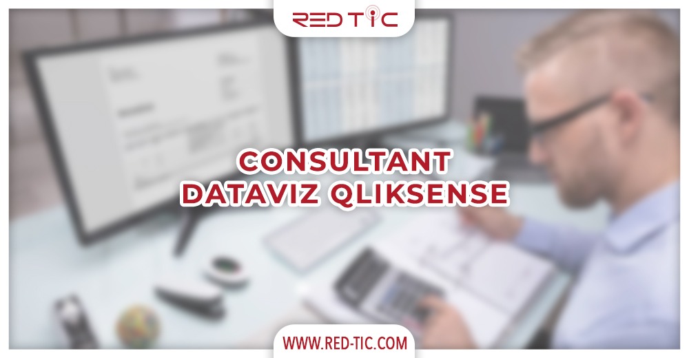 CONSULTANT DATAVIZ QLIKSENSE - RED TIC