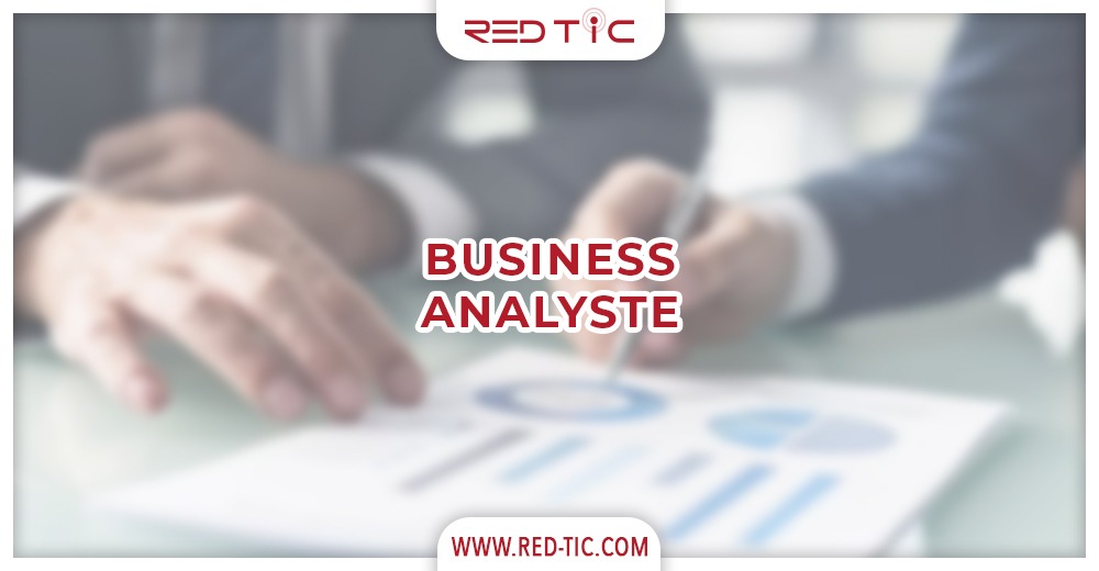 BUSINESS ANALYSTE - RED TIC