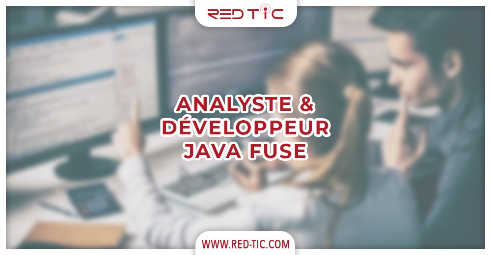 ANALYSTE & DEVELOPPEUR JAVA FUSE - RED TIC