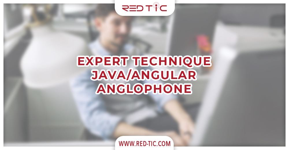 EXPERT TECHNIQUE JAVA/ANGULAR ANGLOPHONE - RED TIC