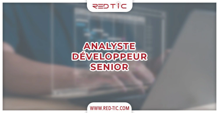 ANALYSTE DÉVELOPPEUR SENIOR - RED TIC