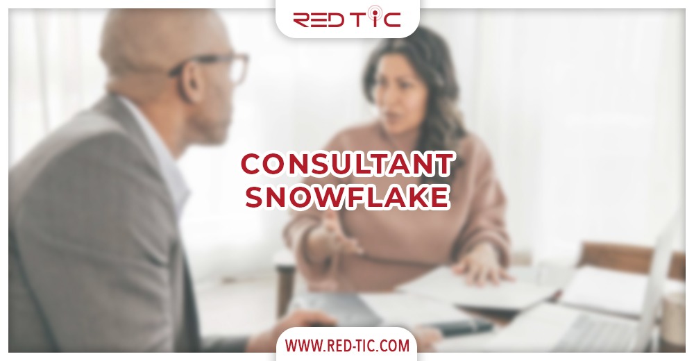 CONSULTANT SNOWFLAKE - RED TIC